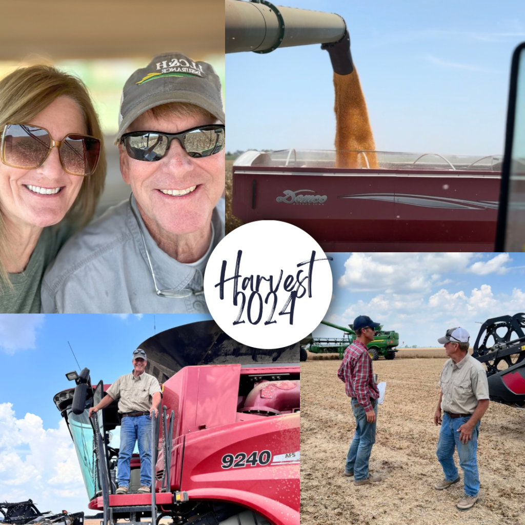 Shellie Rushing Tomlinson – Author, Bible Teacher, Speaker, Podcast Host